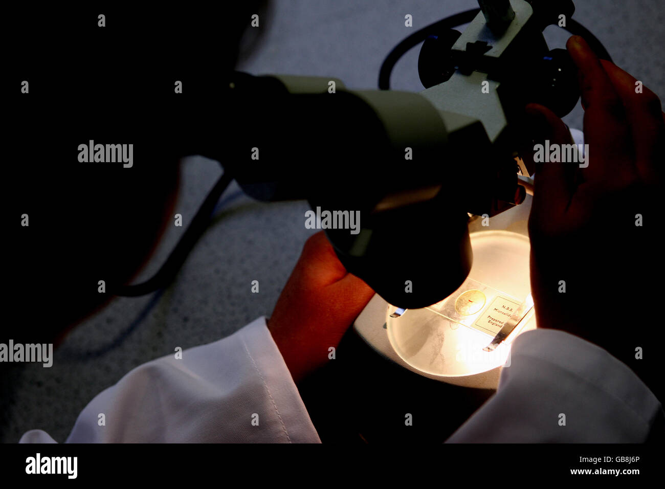 Under a microscope hi-res stock photography and images - Alamy