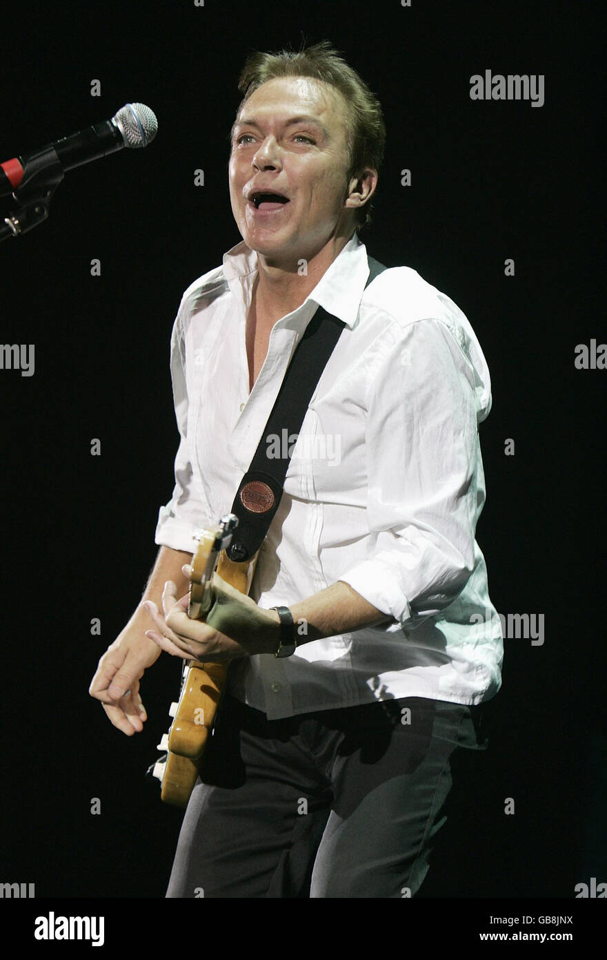 David cassidy concert hi-res stock photography and images - Alamy