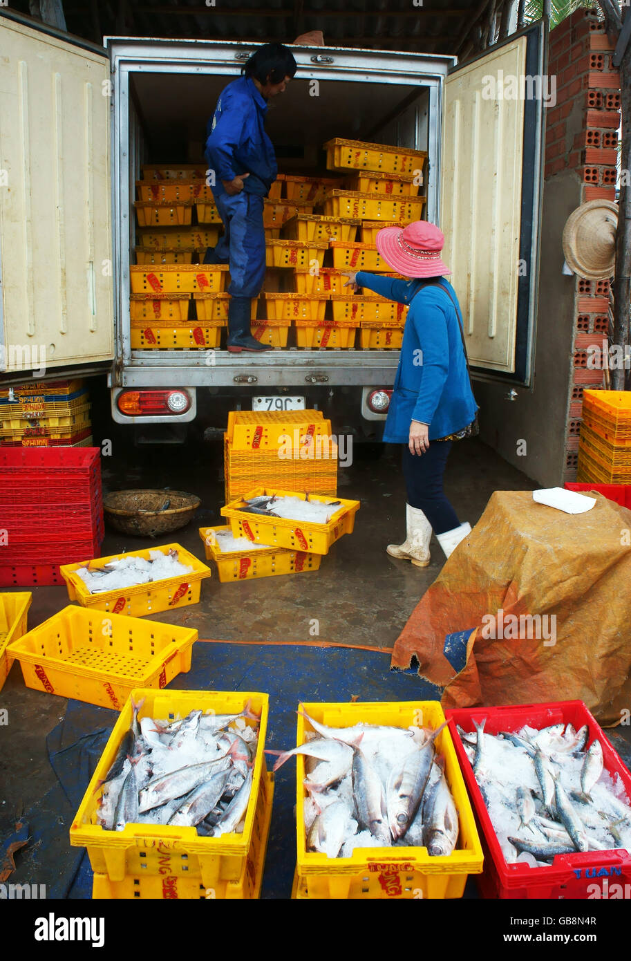 Fish in plastic trays hi-res stock photography and images - Alamy