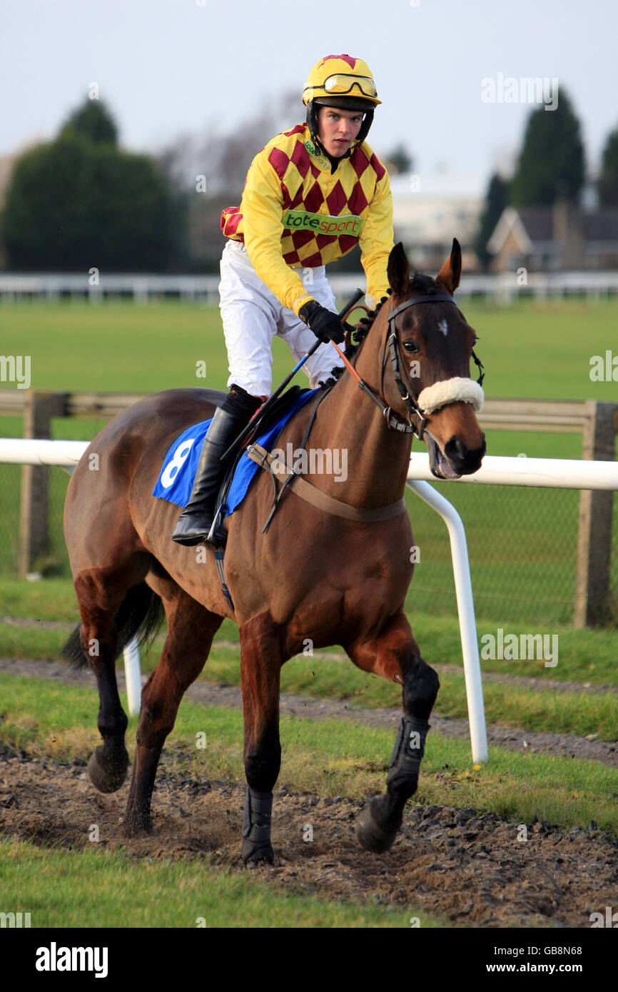 Horse Racing - Race Meeting - Market Rasen Racecourse. Pentasilea ...