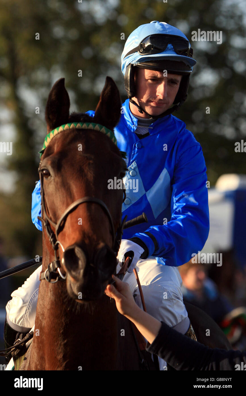 Horse Racing - Fakenham Racecourse Stock Photo - Alamy