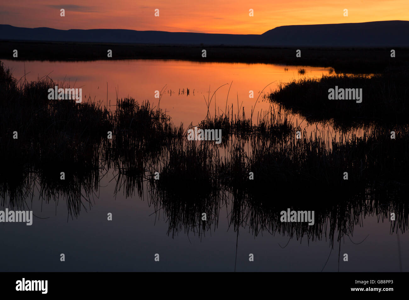 Marsh dusk, Summer Lake Wildlife Area, Oregon Outback Scenic Byway ...