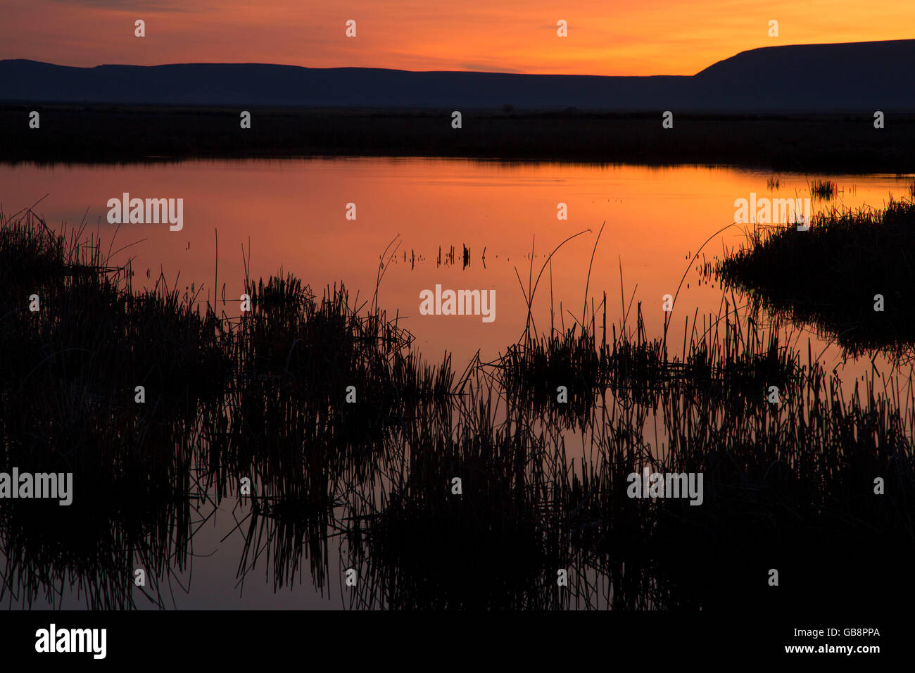 Marsh dusk, Summer Lake Wildlife Area, Oregon Outback Scenic Byway ...