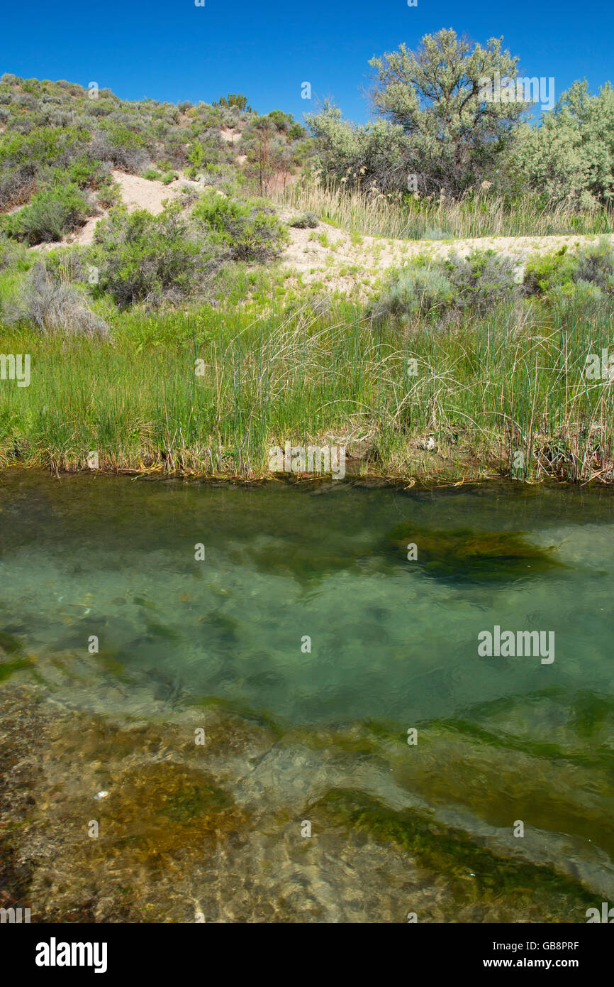 Ana River, Summer Lake Wildlife Area, Oregon Outback Scenic Byway ...