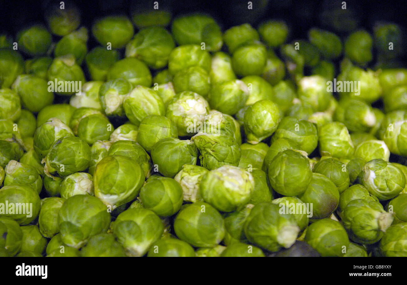 Gv general view flexipics hi-res stock photography and images - Alamy