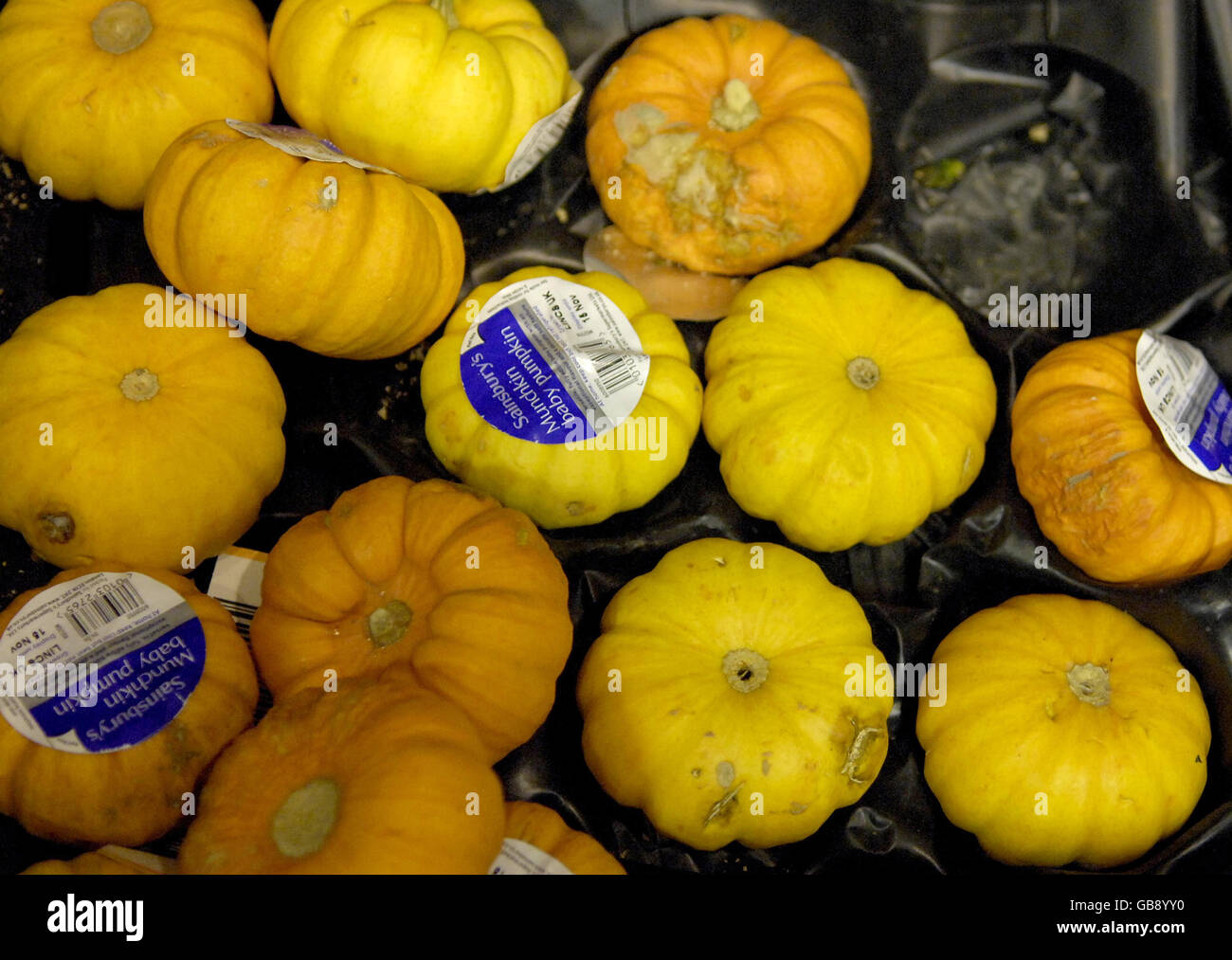 Baby veg plants hi-res stock photography and images - Alamy