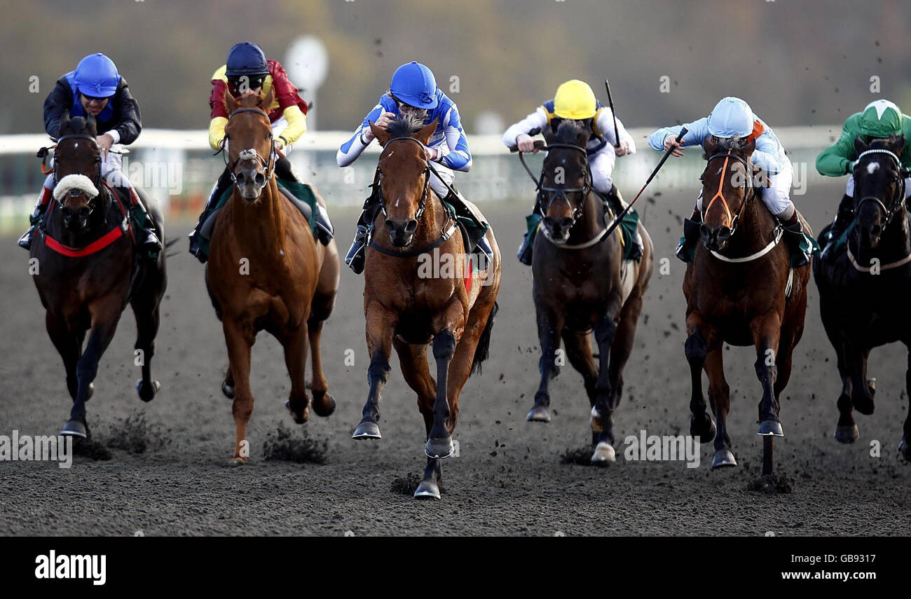 Horse Racing - Lingfield Stock Photo - Alamy