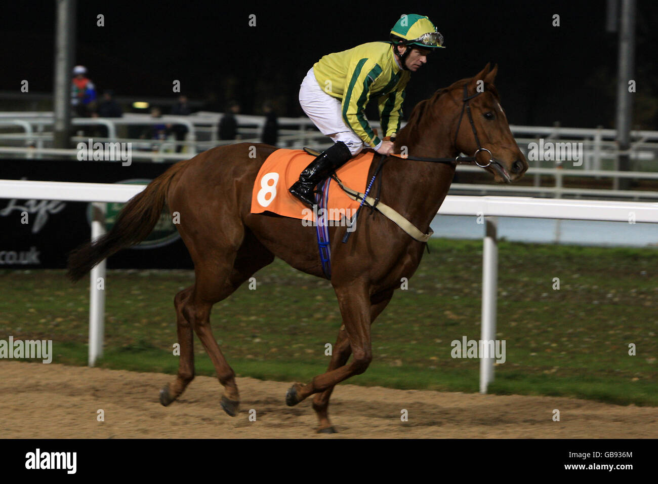 Horse Racing - Great Leighs Stock Photo - Alamy