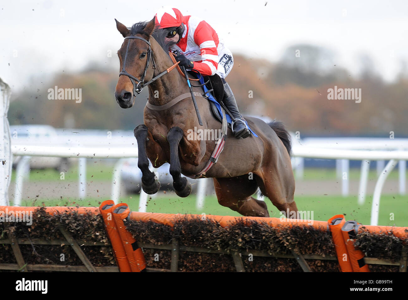 Ruby Walsh High Resolution Stock Photography and Images - Alamy