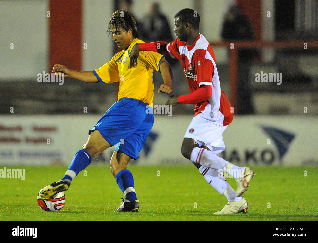 Charlton Athletic's Izale McLeod and Crystal Palace's Nick Carle Stock ...