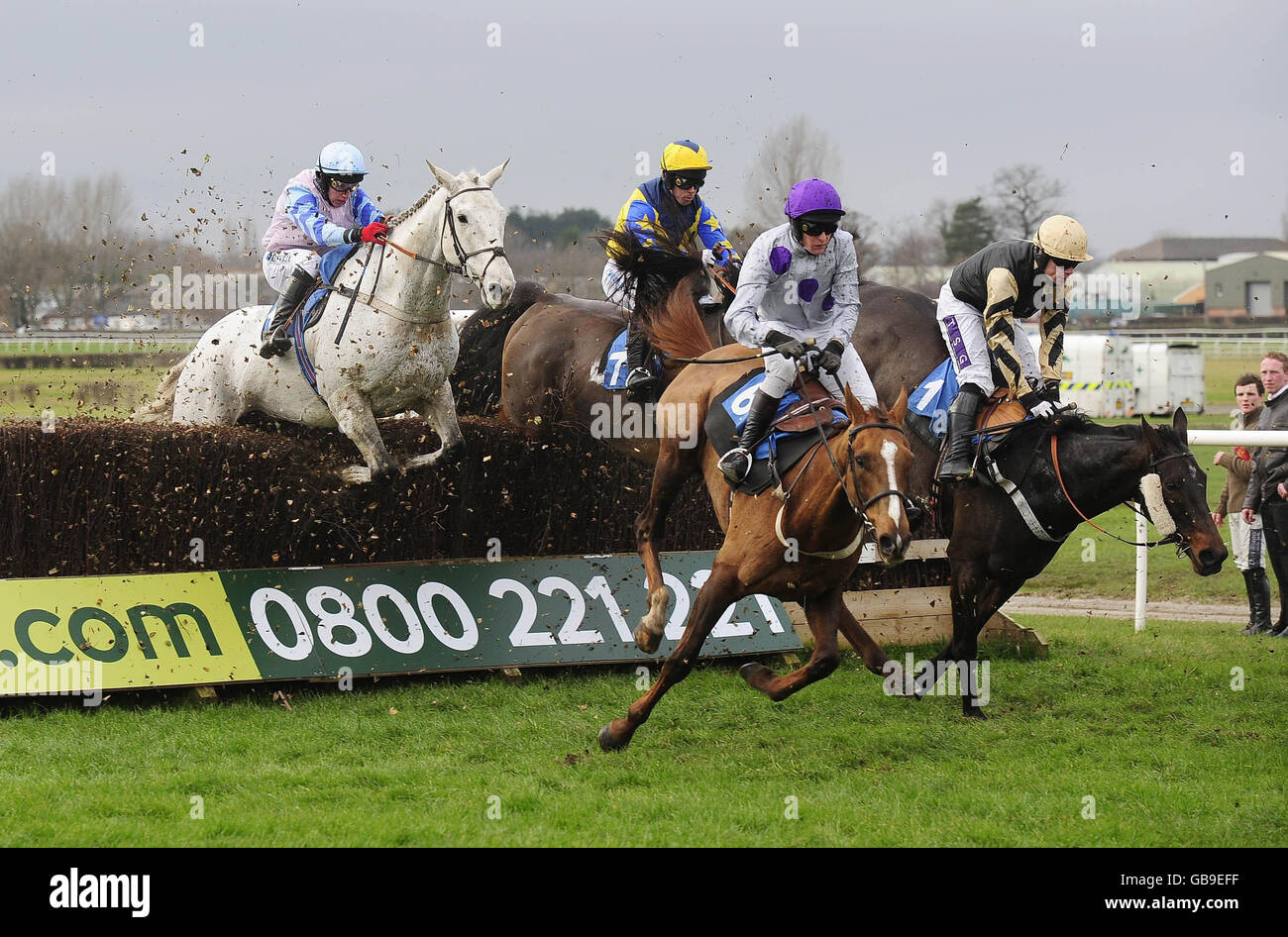 Sport competition riding action fence horse race horse racecourse hi ...