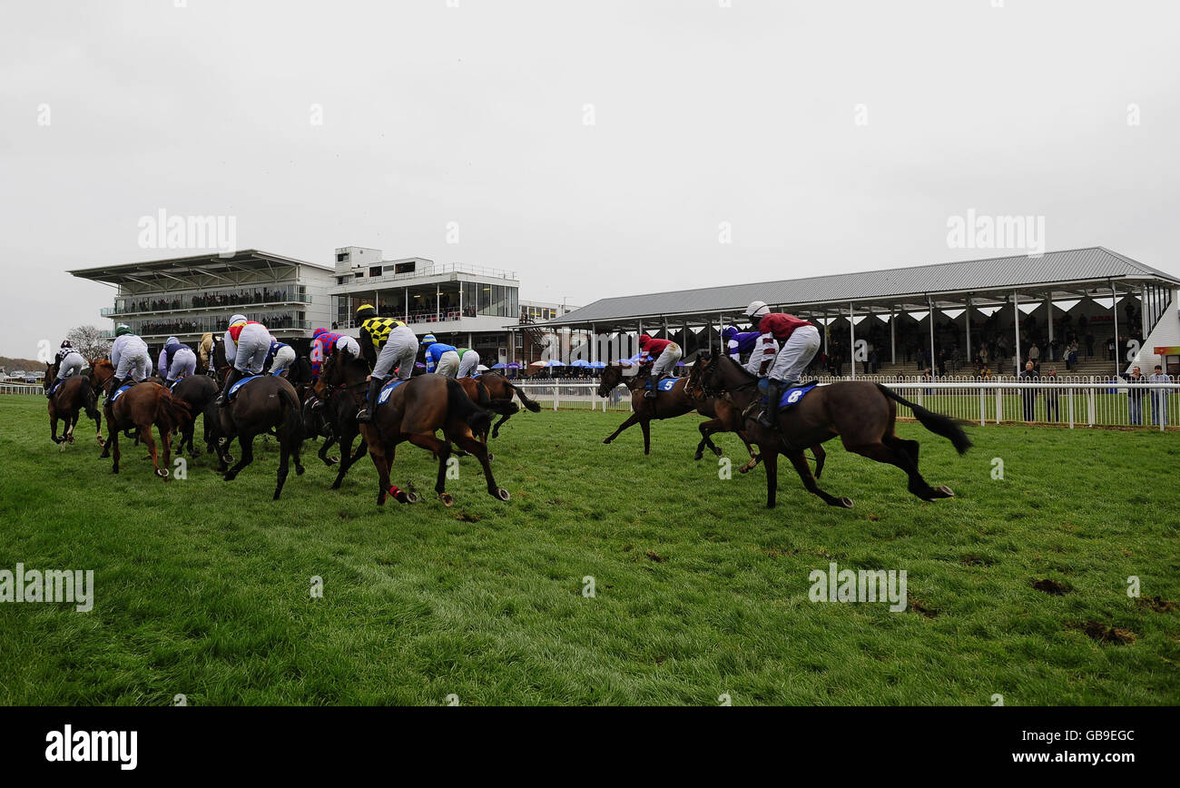 Runners and riders pass the stands at wetherby racecourse hi-res stock ...