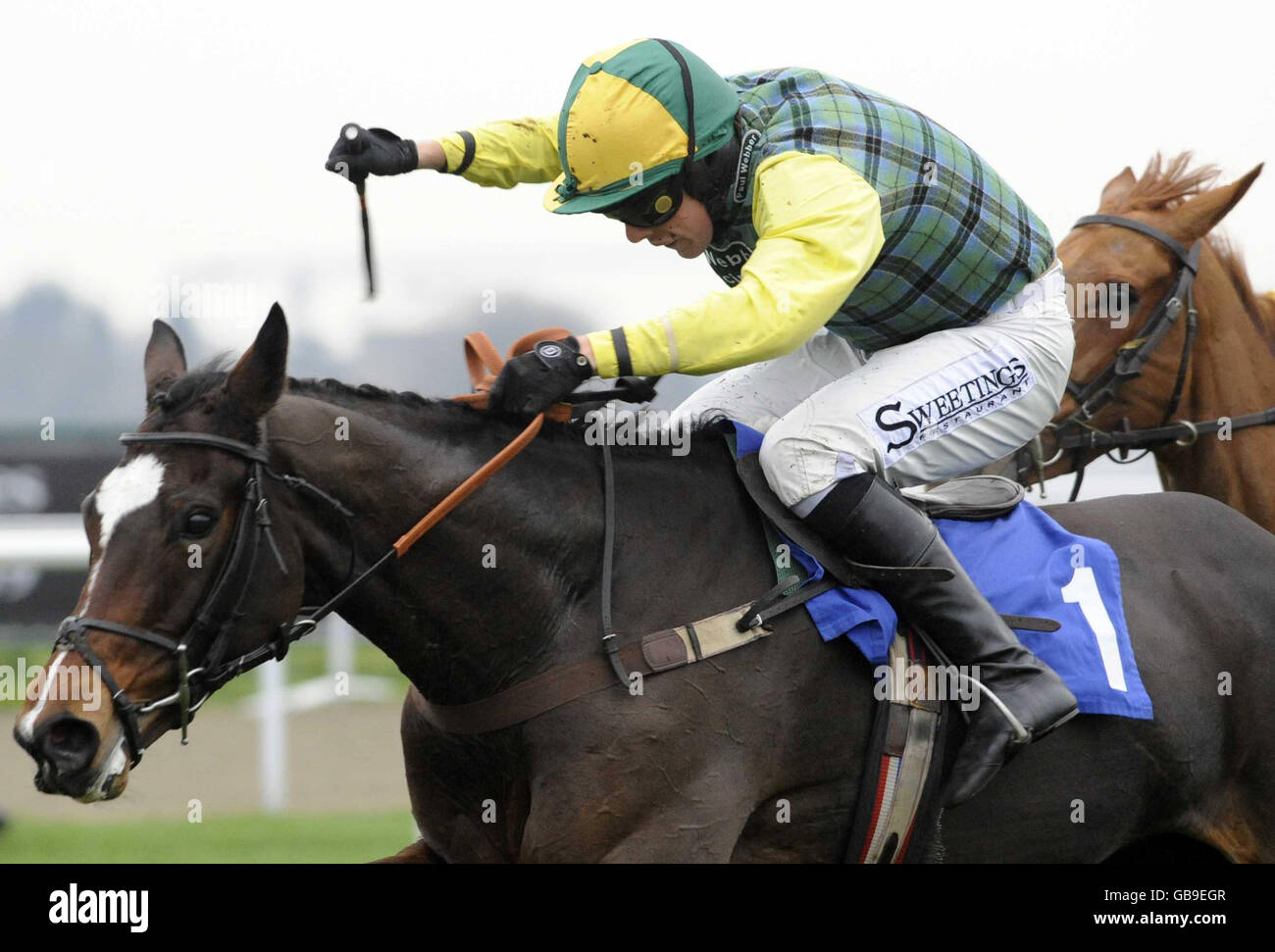 One Gulp, ridden by Dominic Elsworth wins The Starlight Lapland Mares ...
