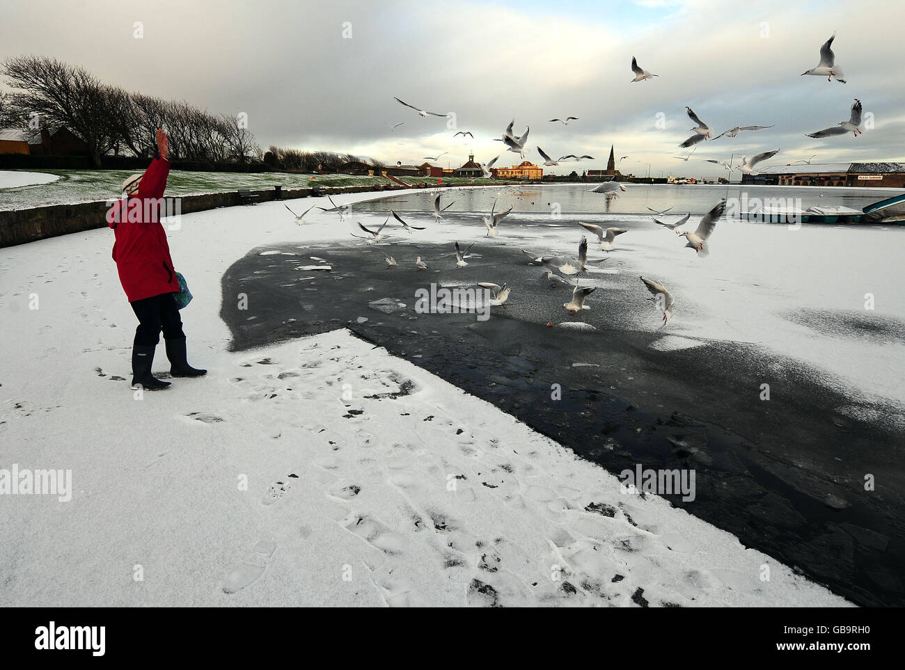 A walker feeds birds near the boating lake in a snow covered Tynemouth ...