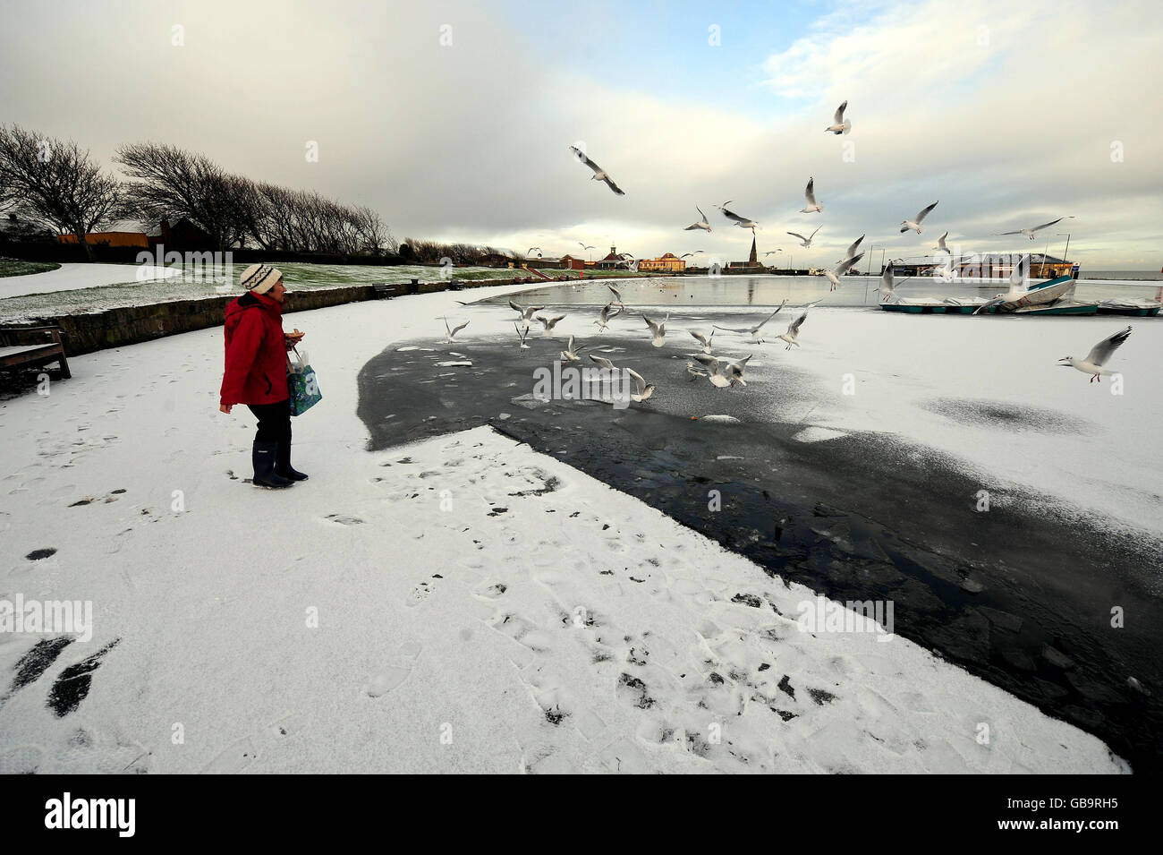 Covered in birds hi-res stock photography and images - Alamy