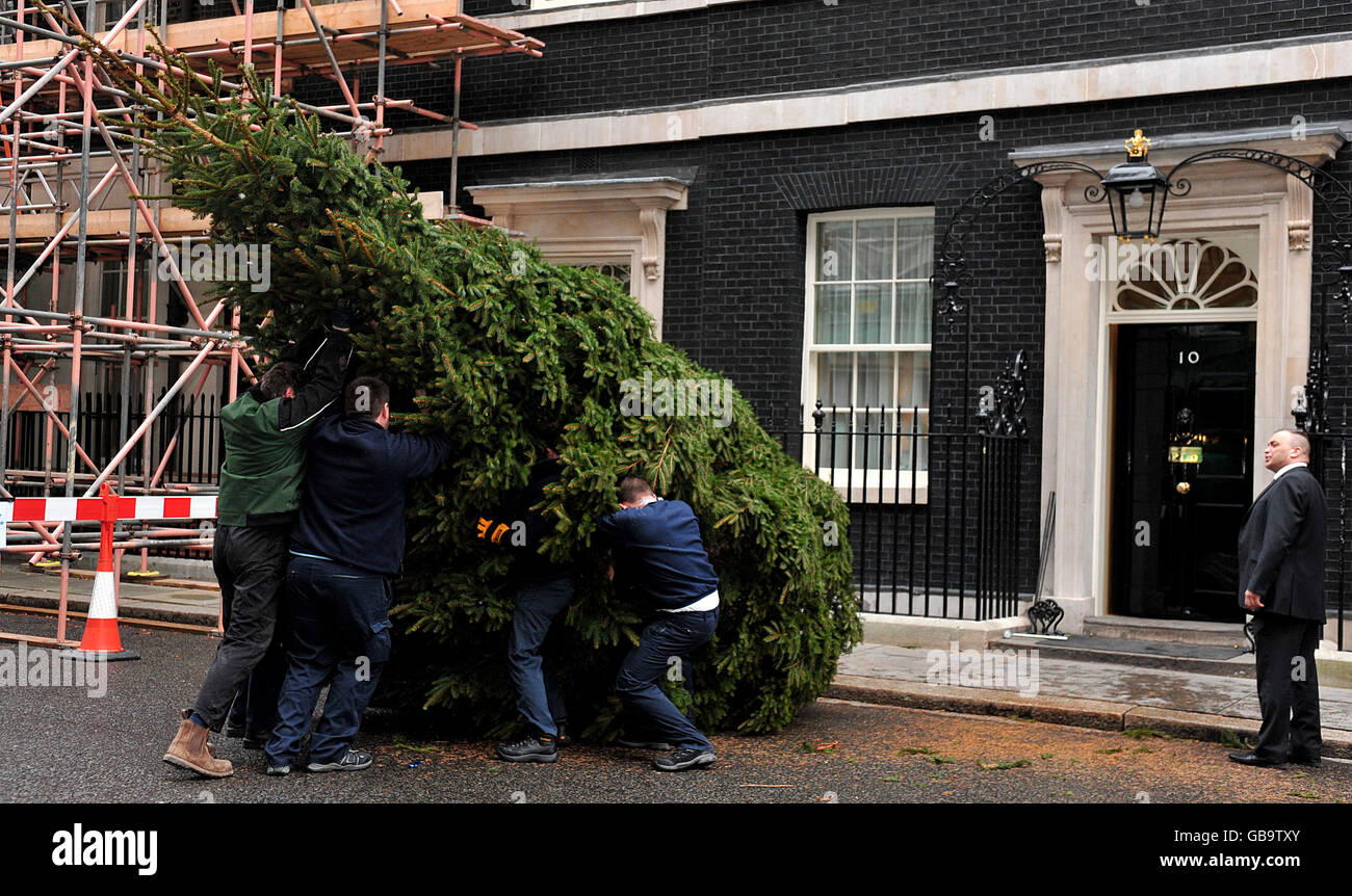 Downing Street Christmas tree Stock Photo - Alamy