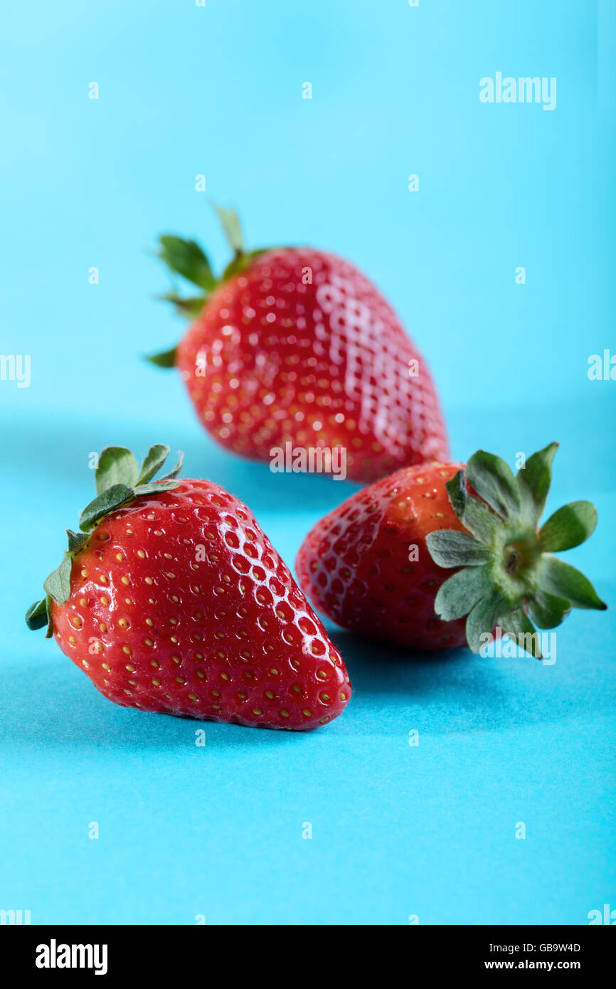 Three juicy strawberry on blue background Stock Photo - Alamy