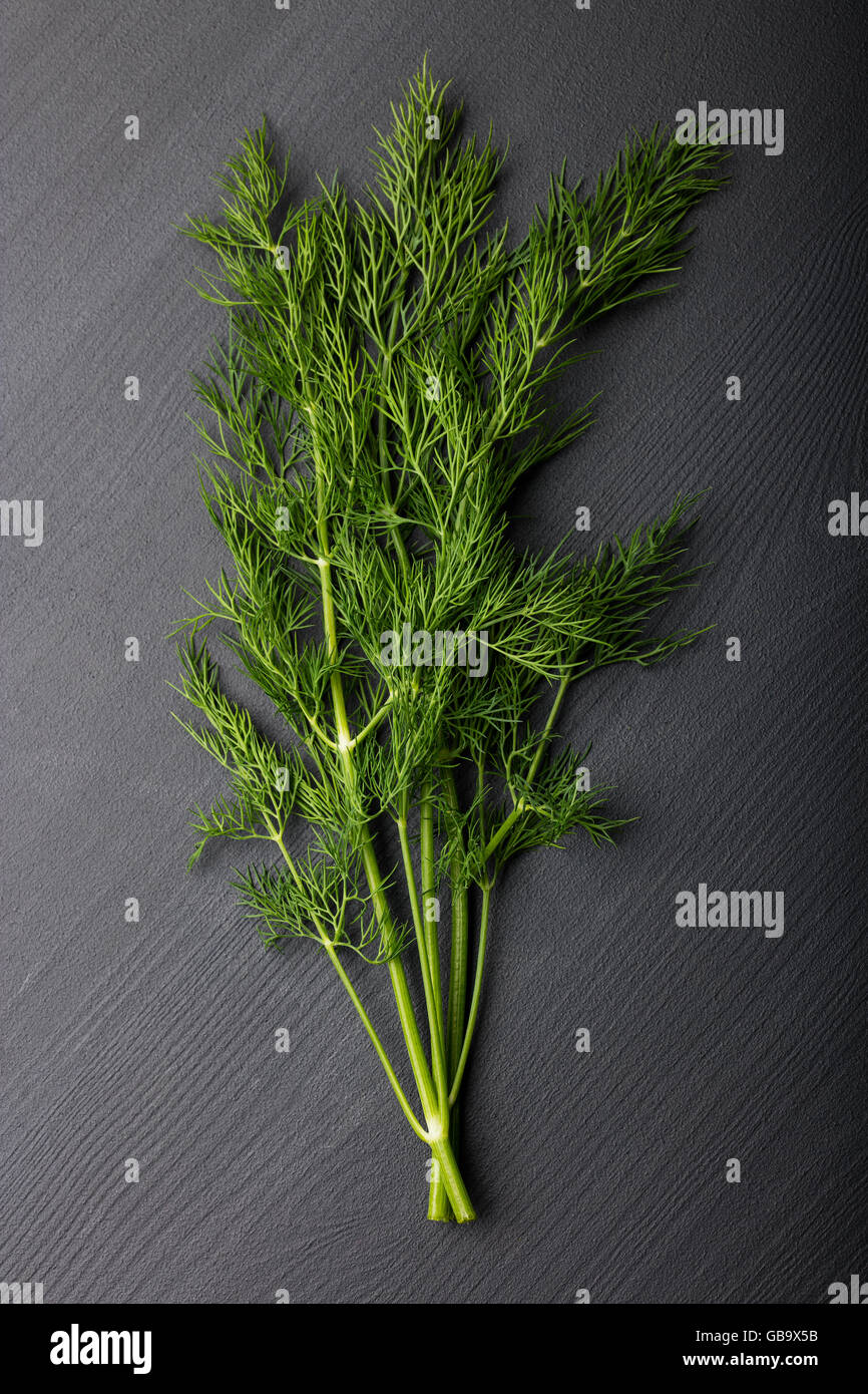 Fresh green dill on dark board Stock Photo - Alamy