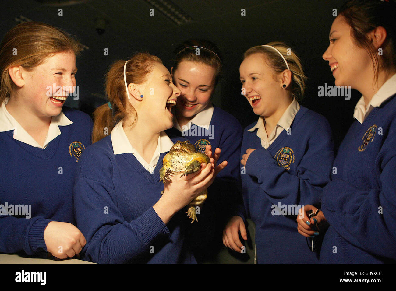 Left to right: Shauna Dowdall, Louise McGrath, Nikita Burke, Jennifer ...