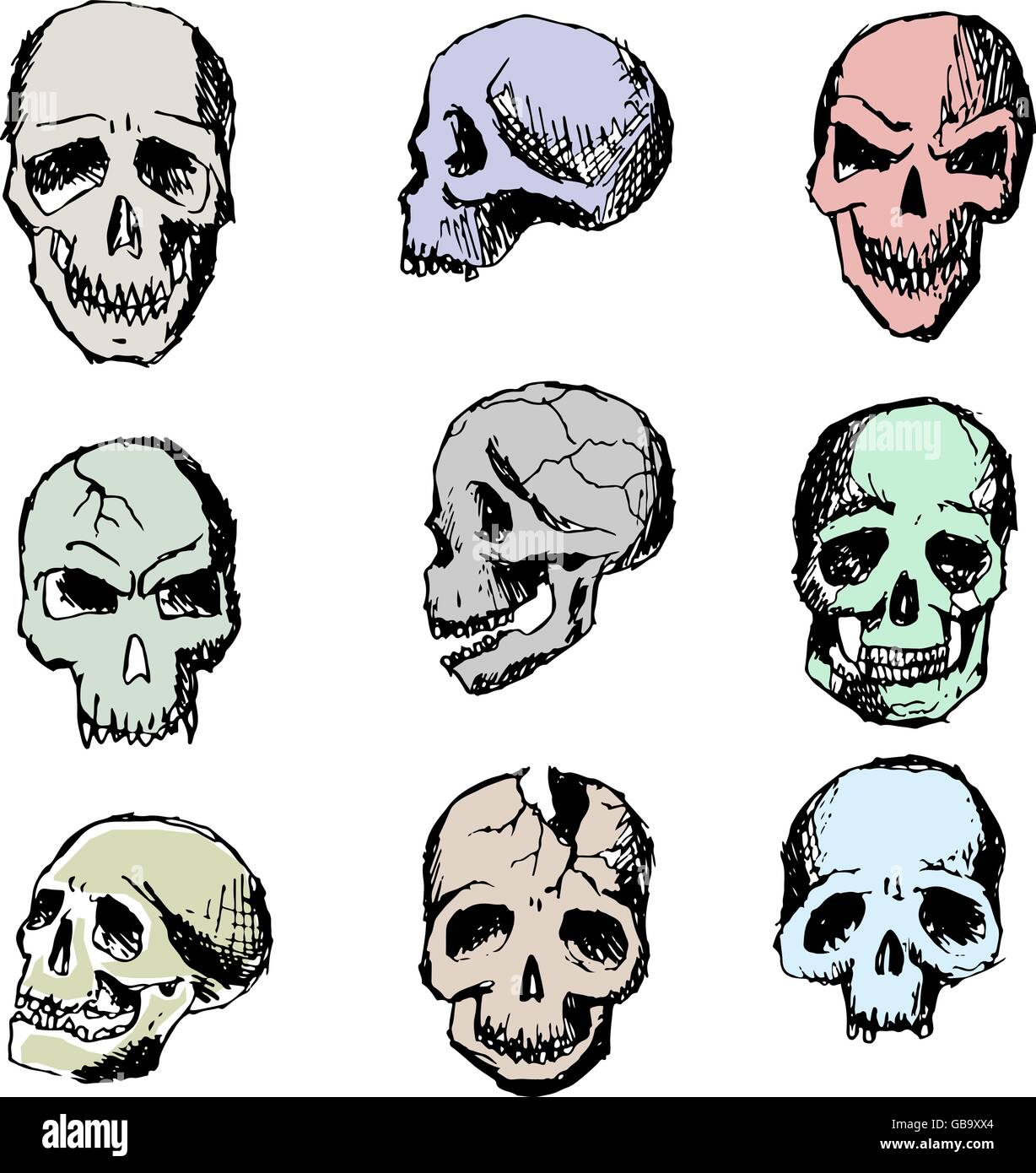 Colorful hand-painted skull. Vector.Illustration Stock Vector Image ...