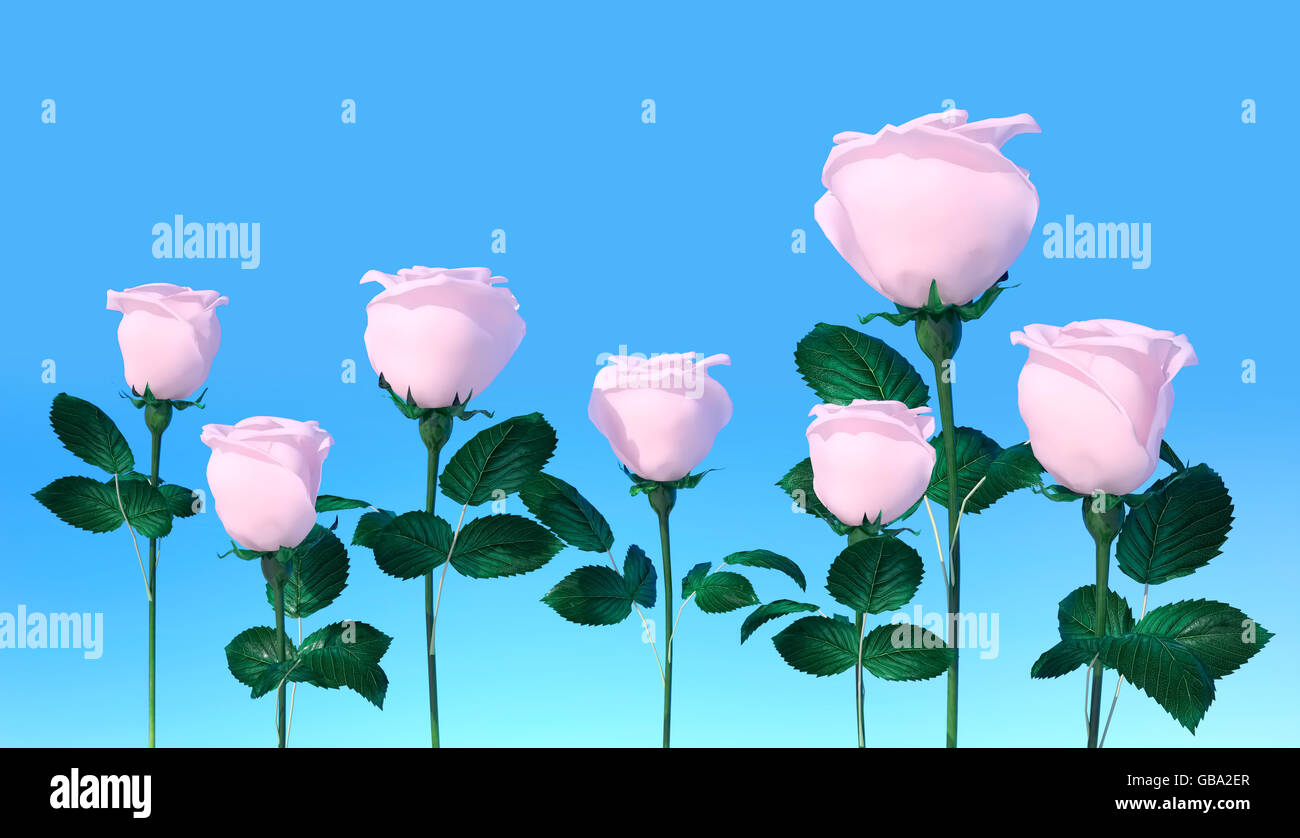 Pale blue blossom hi-res stock photography and images - Alamy