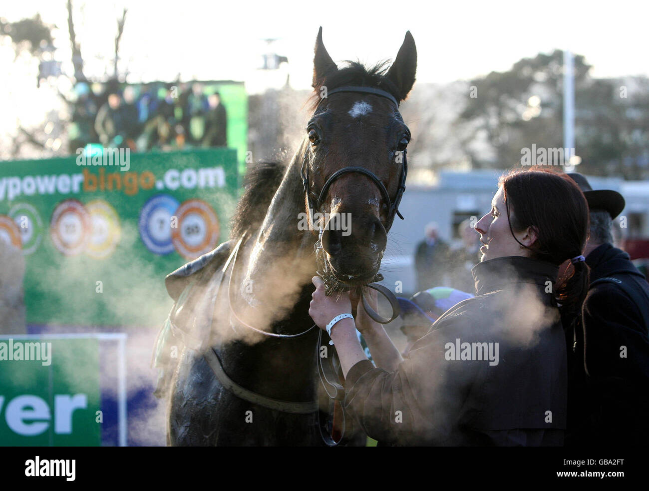 Steam rises from Hurricane Fly in the parade ring after winning the ...