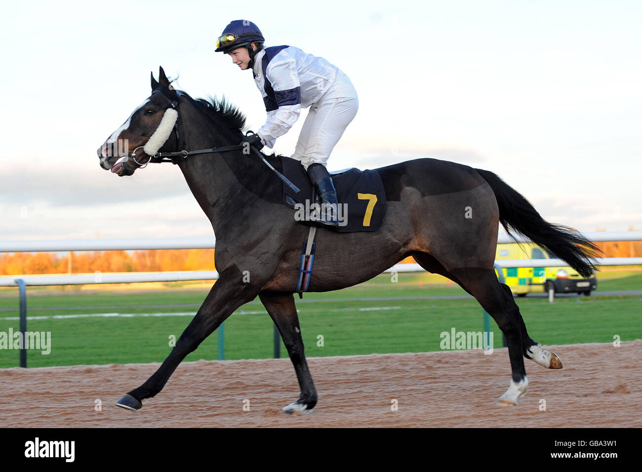 Kelly harrison hi-res stock photography and images - Alamy