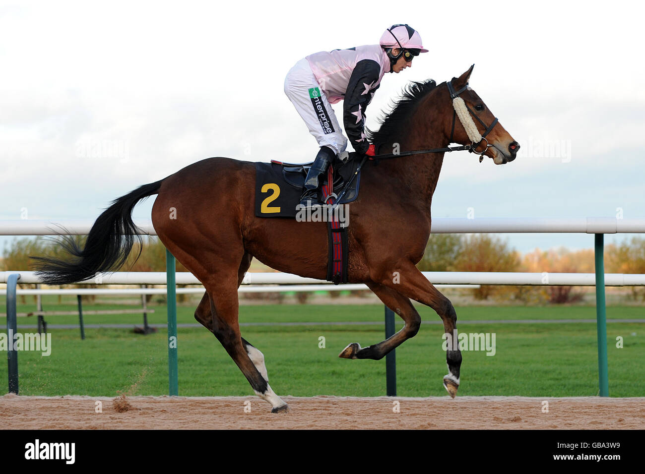Rosie Says No, ridden by jockey Eddie Ahern, before the Southwell ...