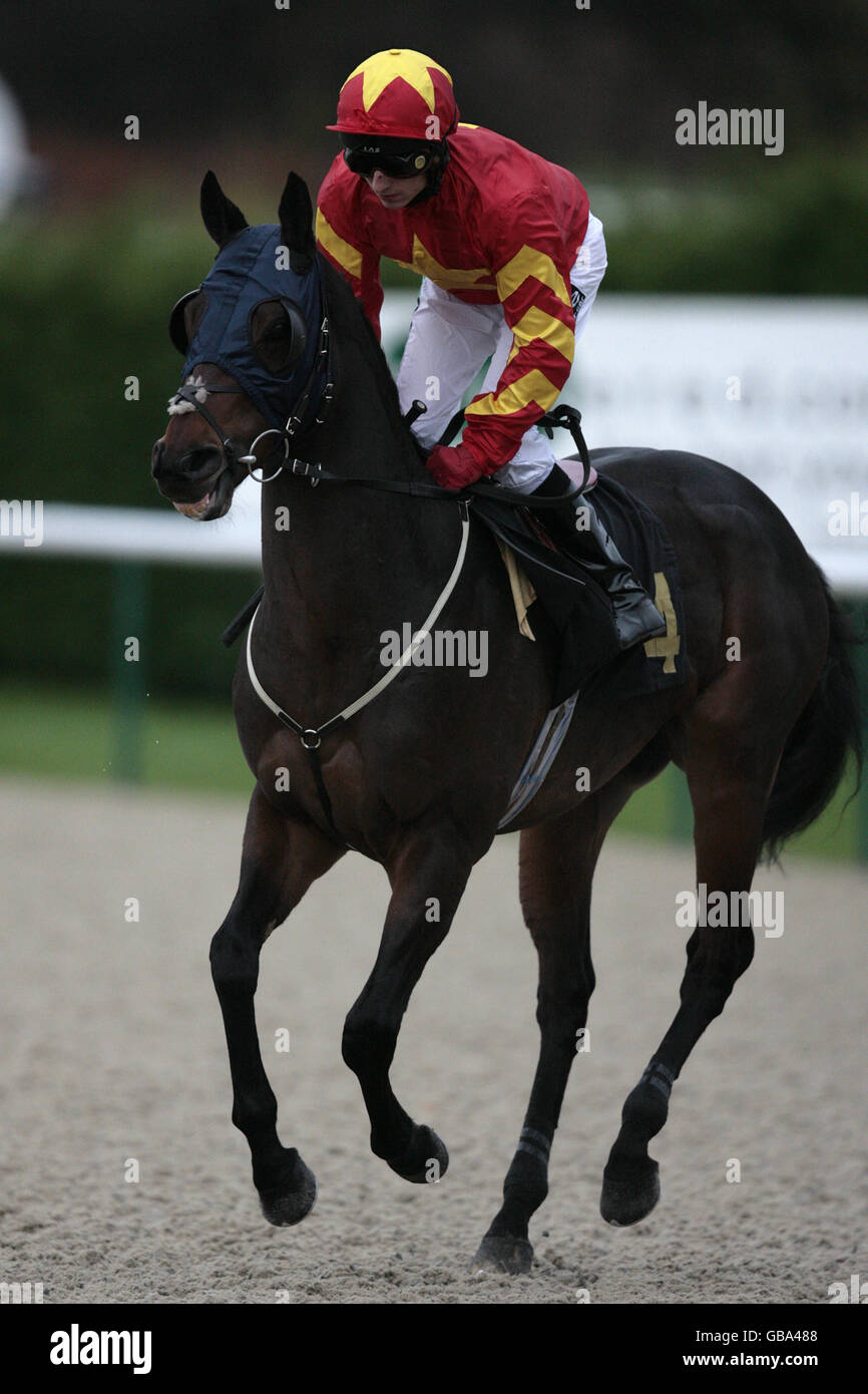 Horse Racing - Wolverhampton Racecourse Stock Photo - Alamy