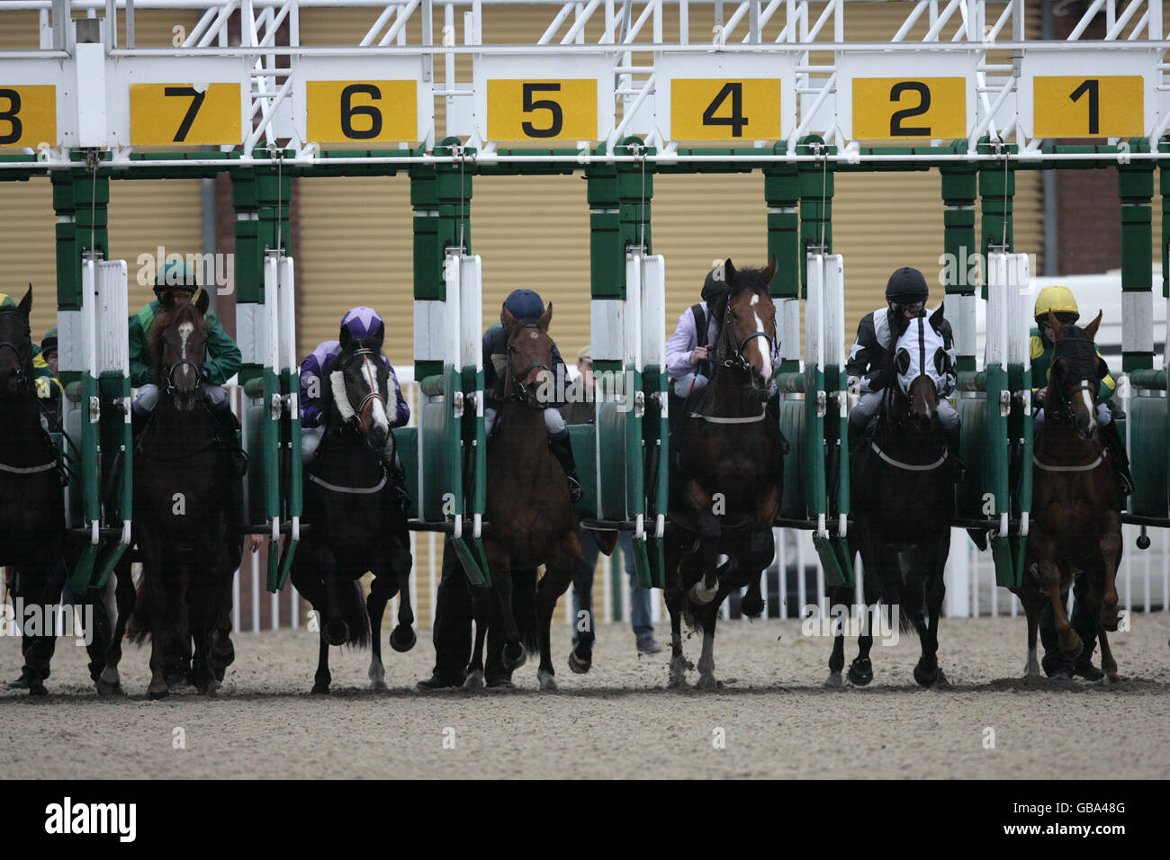 Horse racing from wolverhampton hi-res stock photography and images - Alamy