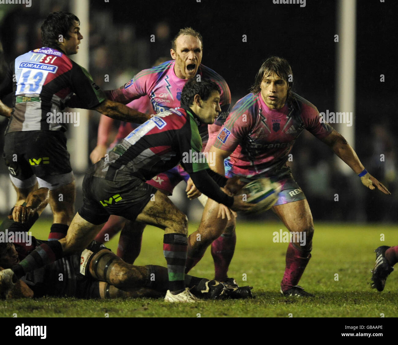 Harlequins danny care heineken cup match twickenham stoop stadium hi ...