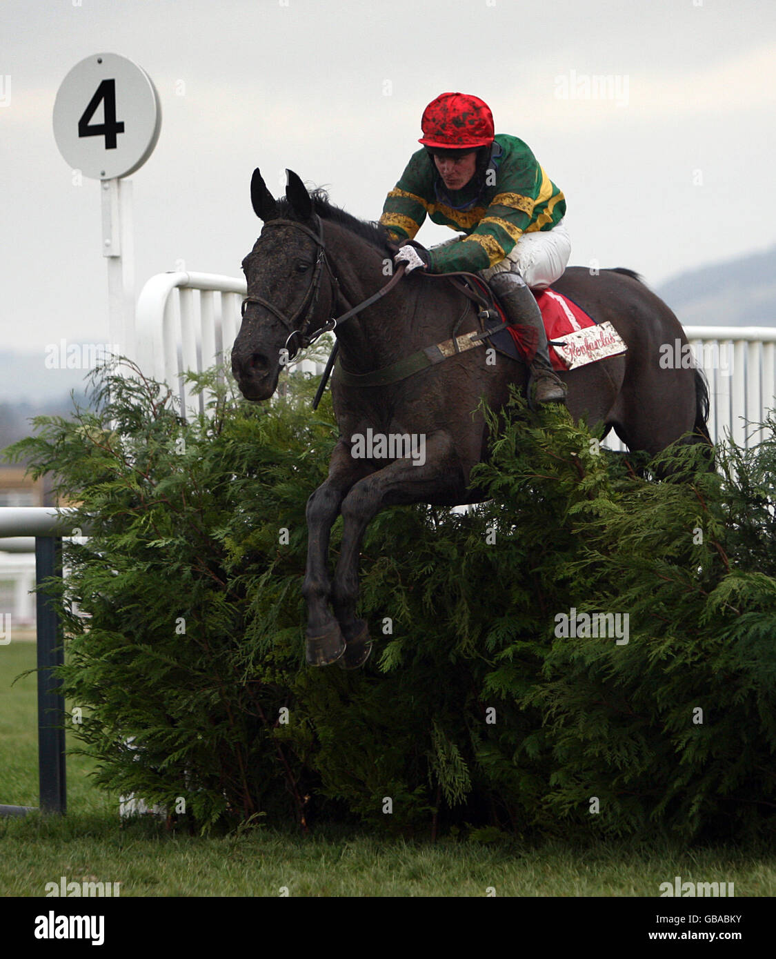 Jockey Alan Berry on Heads Onthe Ground jumps in the Glenfarclas Cross ...