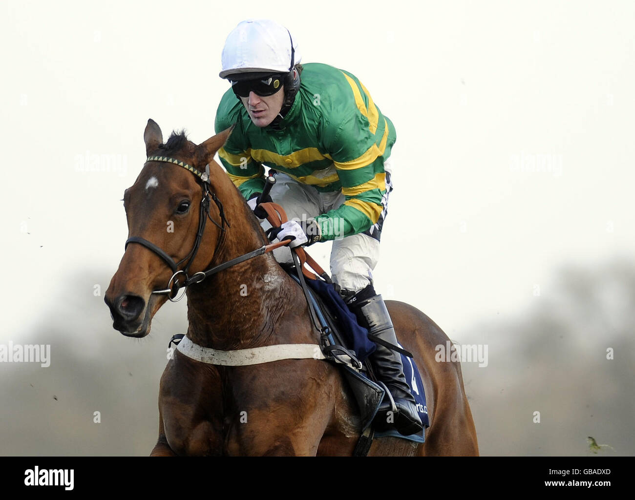 Tony anthony racing ascot hi-res stock photography and images - Alamy