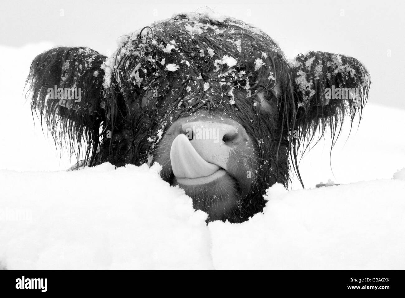 Storms sweep across UK Stock Photo - Alamy