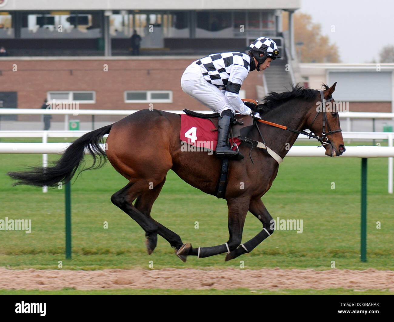 Horse Racing - Welfare Raceday - Haydock Park. Jockey Graham Lee on ...