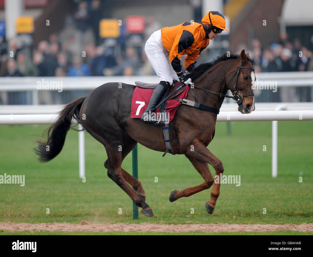Jockey Tjade Collier on Flake goes to post in the Racing Welfare ...