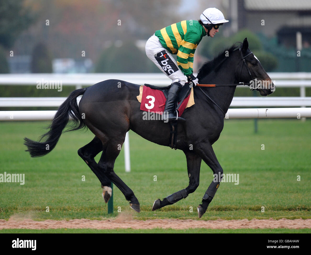 Jockey Tony McCoy on Kingscape goes to post in the Racing Welfare ...