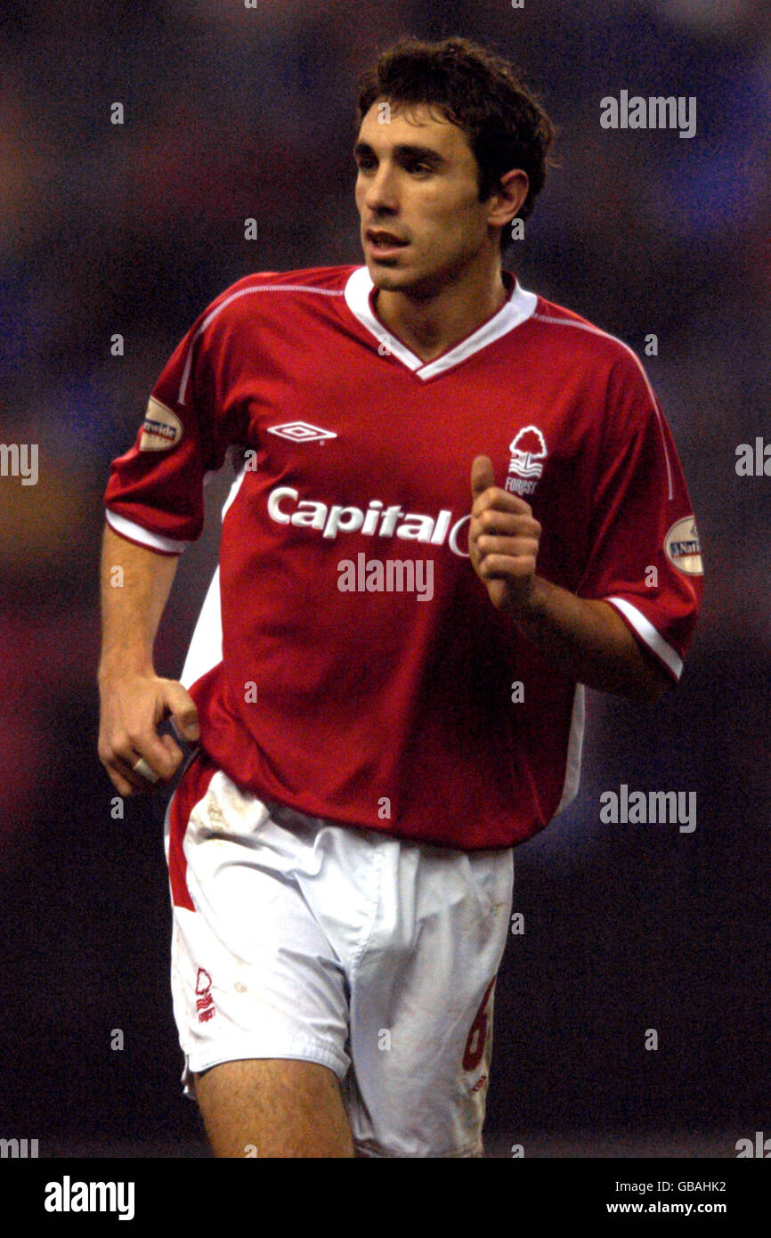 John thompson forest hi-res stock photography and images - Alamy