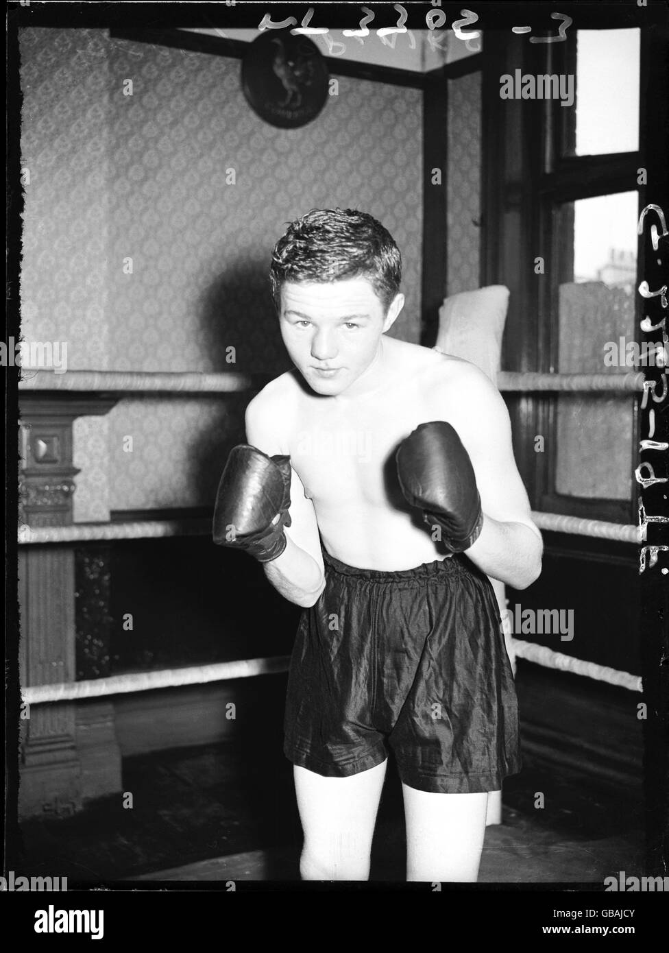 Boxing. Terry Spinks, featherweight Stock Photo - Alamy