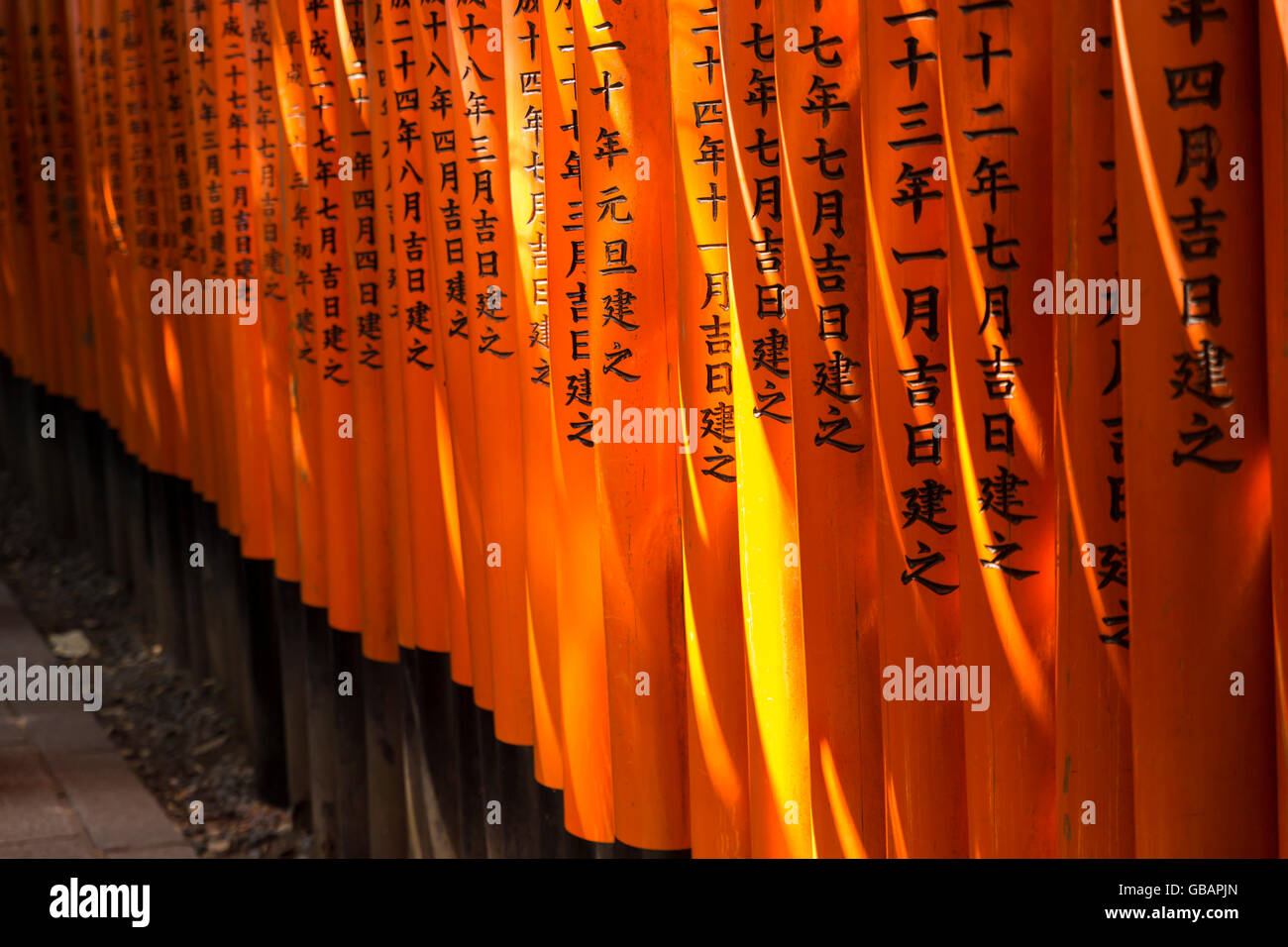 pathway with orange painted torii (gates) at the world famous fushimi ...