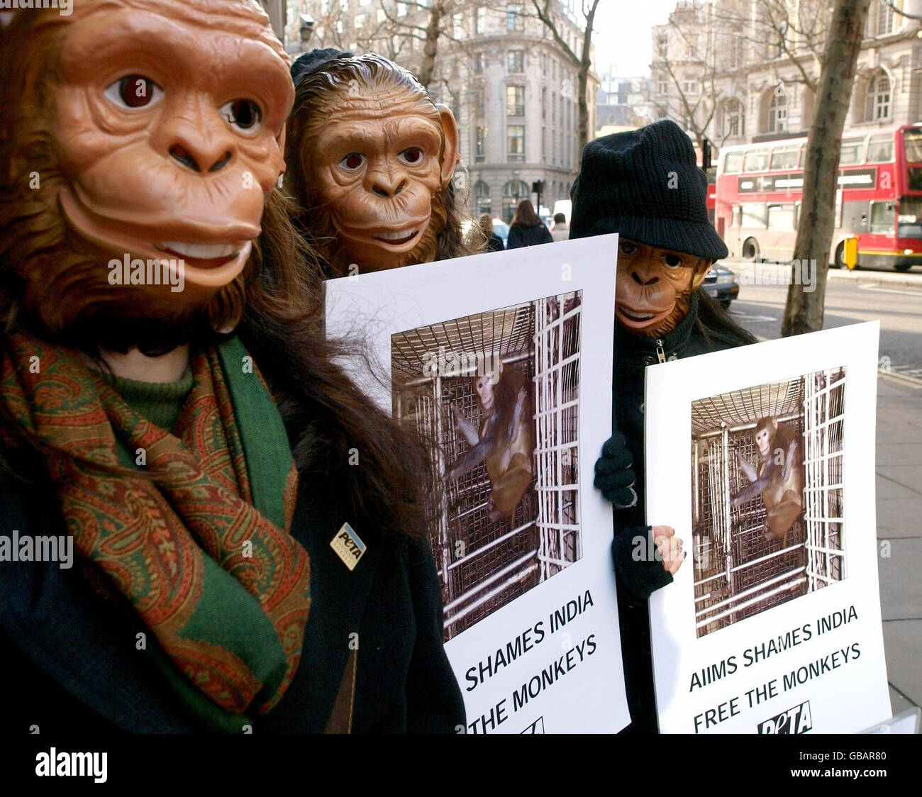 Peta protest monkey hi-res stock photography and images - Alamy