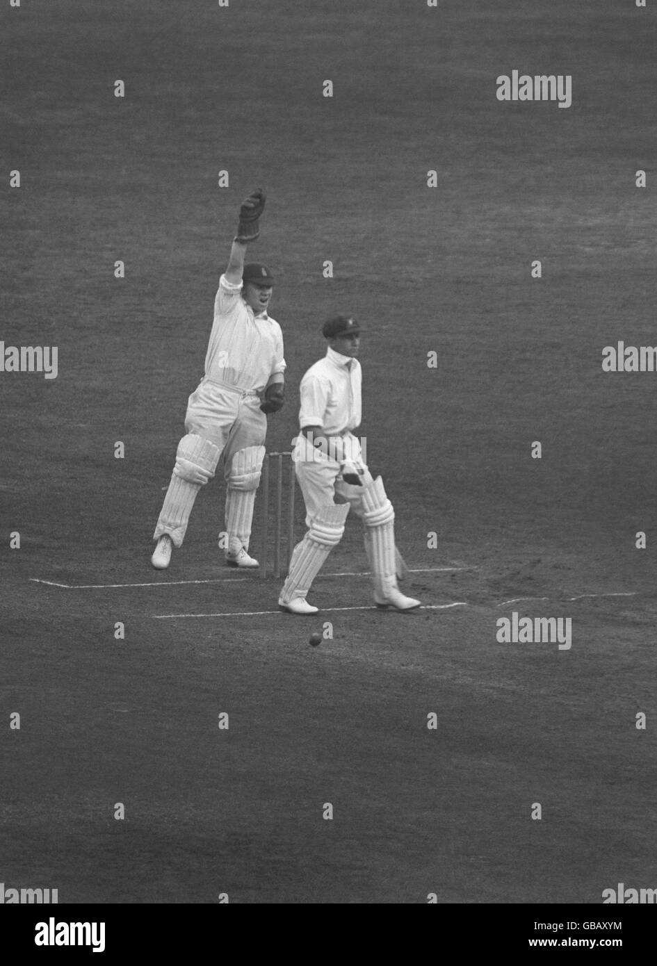 Cricket Fifth Test Match England V Australia The Oval Stock Photo cricket-fifth-test-match-england-v-australia-the-oval-stock-photo