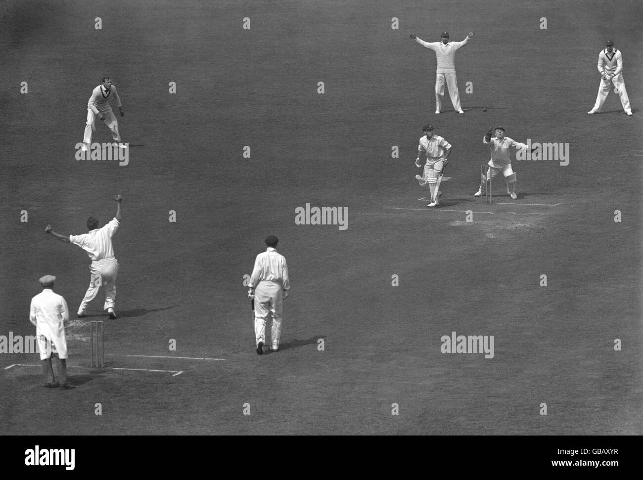 Cricket fifth test match hi-res stock photography and images - Alamy