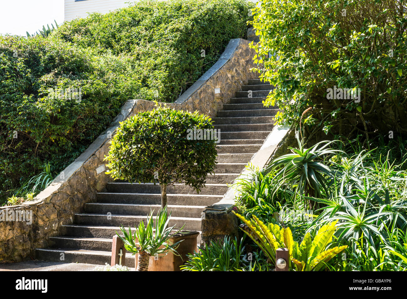 Tropical Stairs Caves House Stock Photo - Alamy