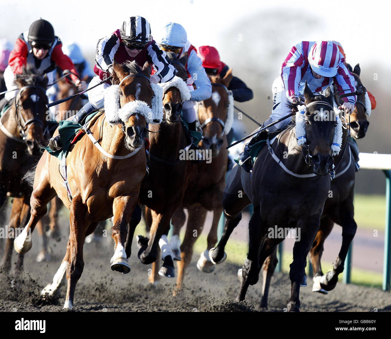 Horse Racing - Lingfield Racecourse Stock Photo - Alamy
