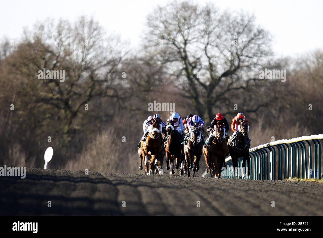 Holly doyle hi-res stock photography and images - Alamy