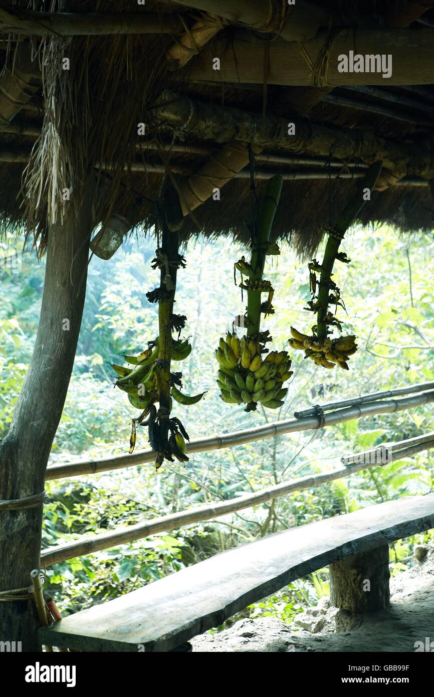 Luan mountain forest museum Stock Photo - Alamy