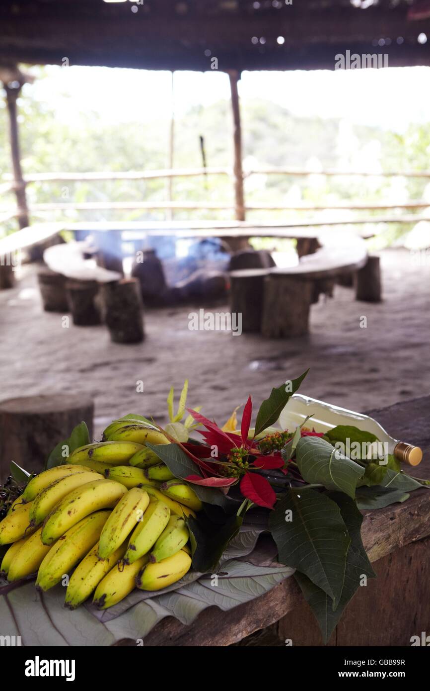 Luan mountain forest museum Stock Photo - Alamy