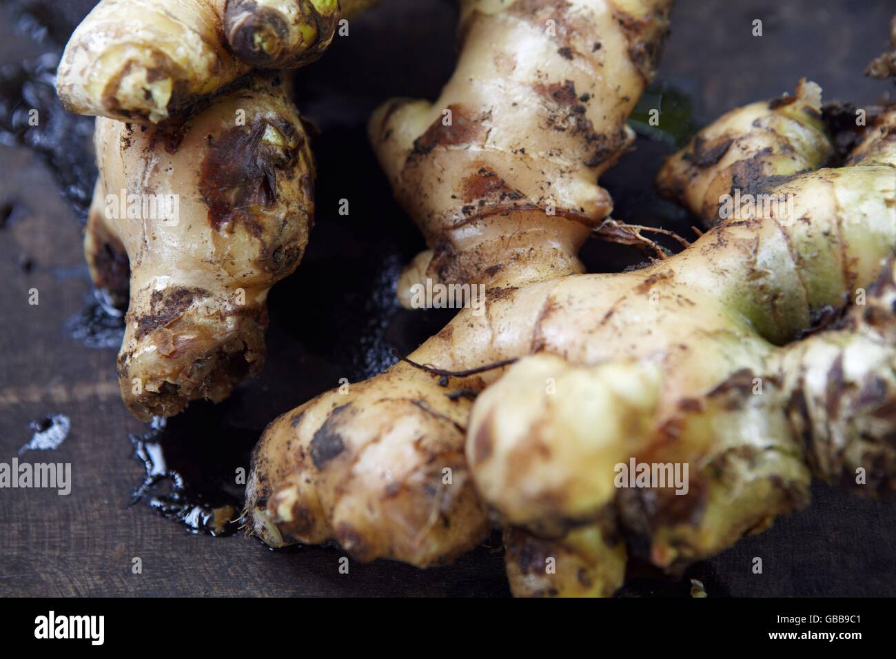 Luan mountain forest museum Stock Photo - Alamy