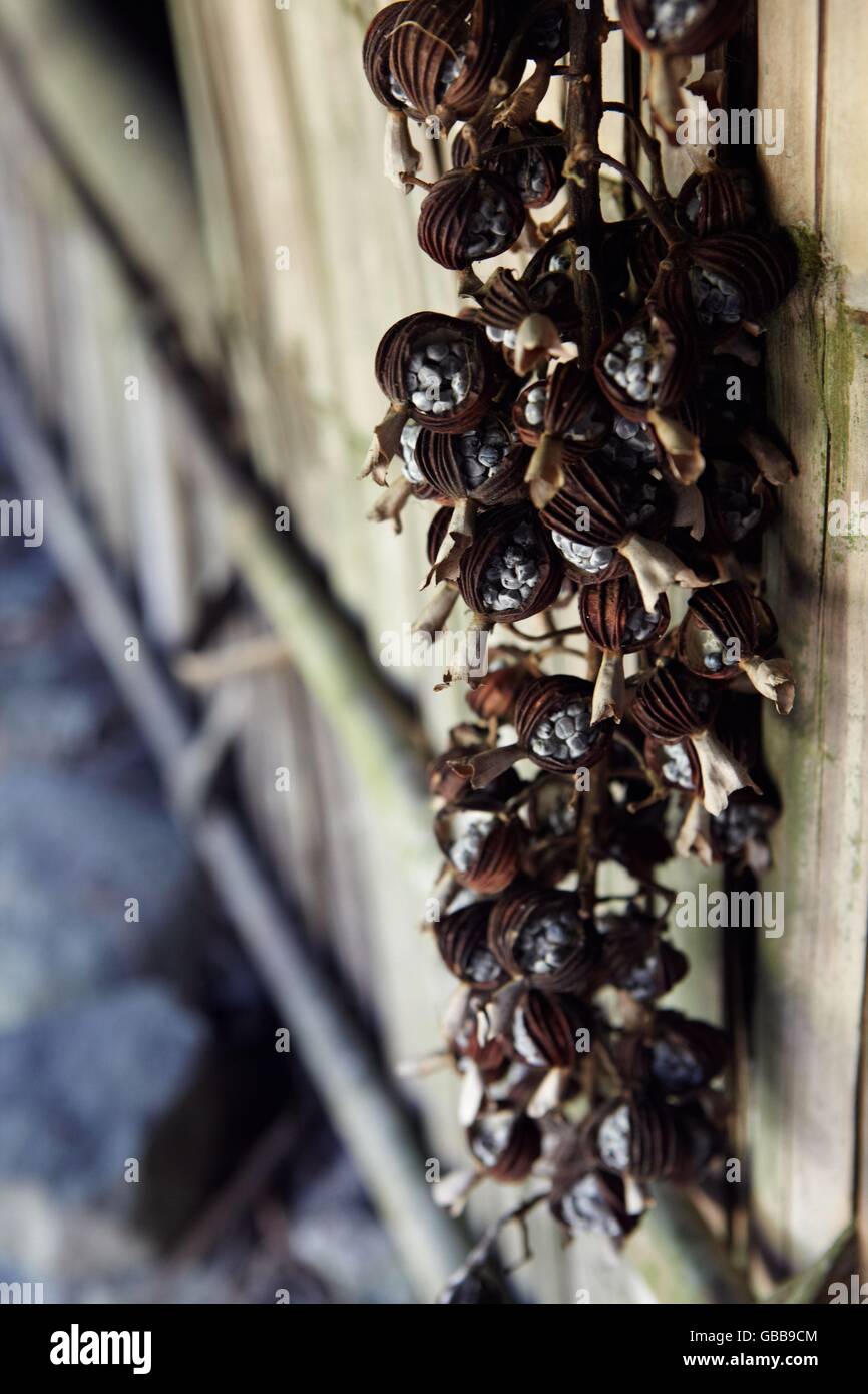 Luan mountain forest museum Stock Photo - Alamy